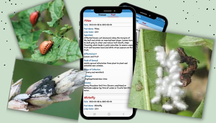 Pest forewarning through Sat2Farm- Keeping your crop safe from pests ...